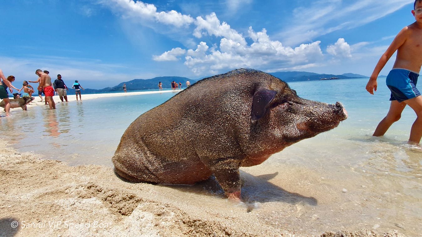 Top 9 Islands to Visit in Koh Samui | Bangkok Airways